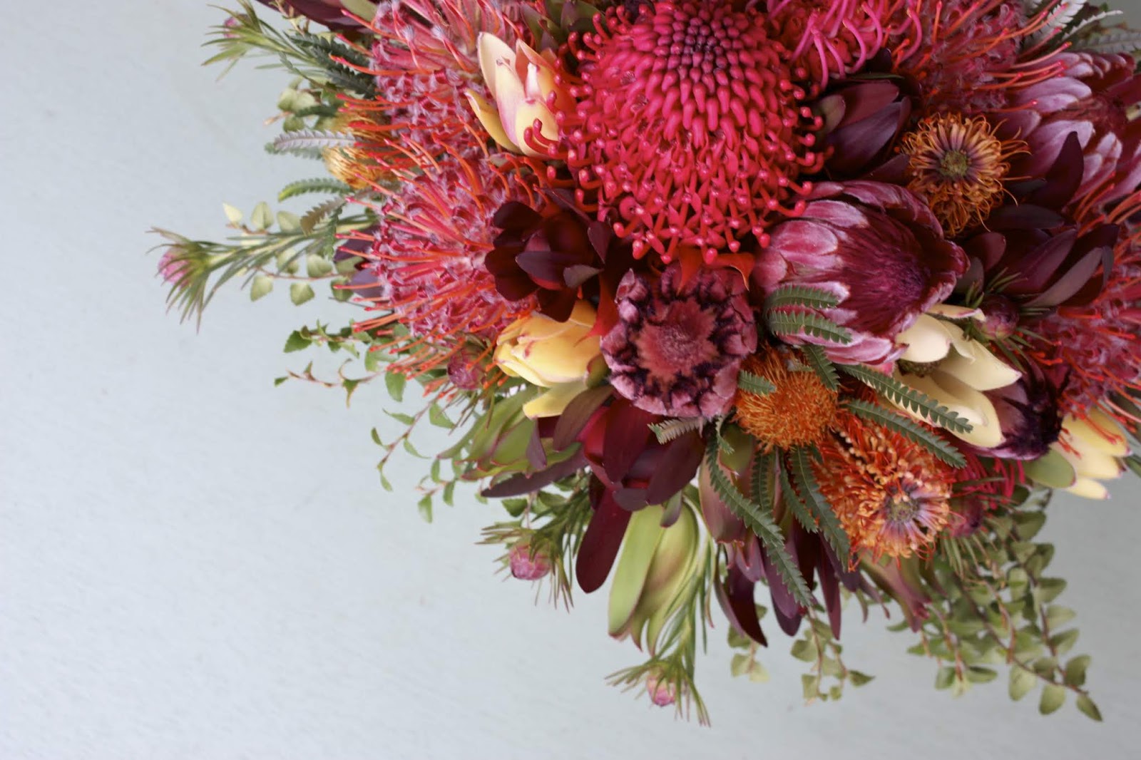 Swallows Nest Farm: November Flowers