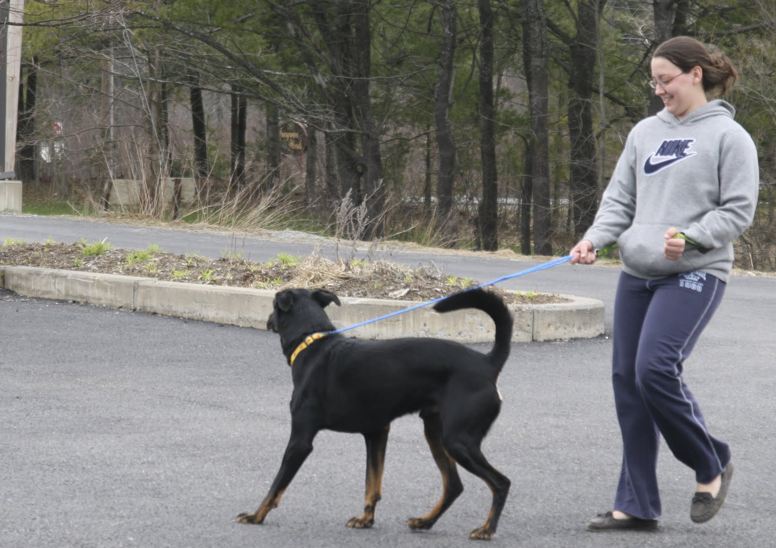 Dogs Day Out: Another Day of Volunteering at the Bangor Humane Society