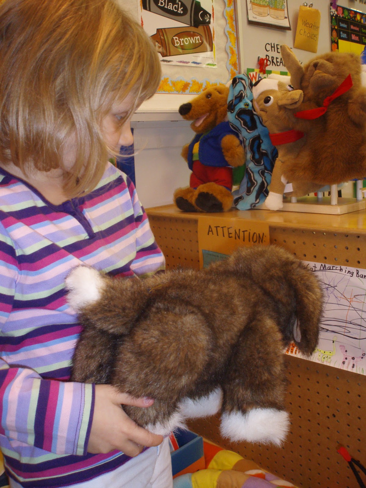 Read Aloud Literacy: Stuffed Animal Day Care