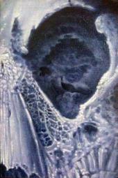 Tatau: Tattoo Artist Jon Clue