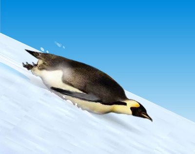 Marcia Habla Sola: Yo, Pingüino