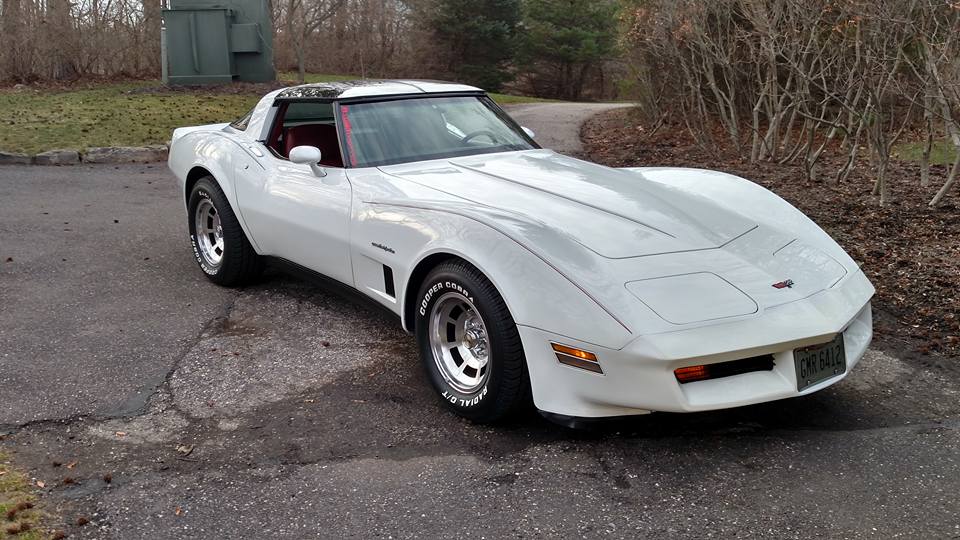 1976 Corvette Stingray: Restore, Repair, Detail: Great White Sharks