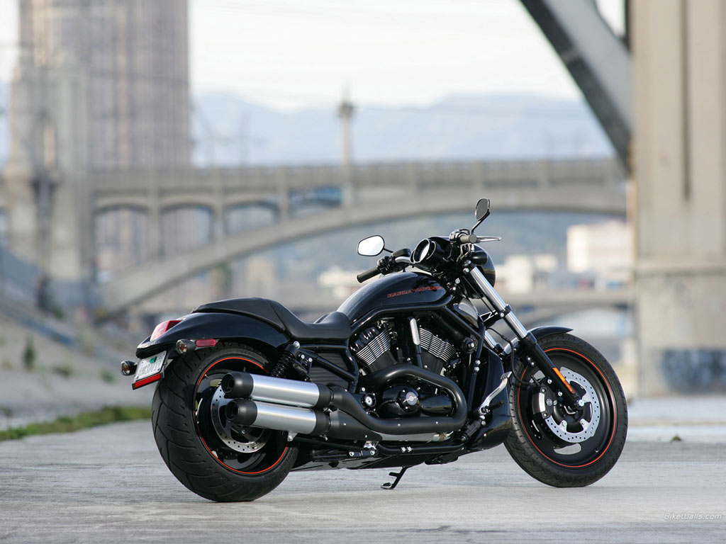 Cool Harley Davidson Pictures | motorbike motorcycle