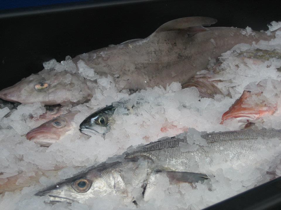 June 2012 – Cabot Institute for the Environment blog