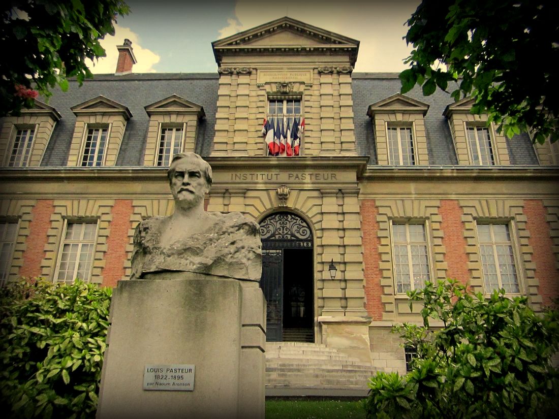 ΙΣΤΟΡΙΑ ΕΛΛΗΝΙΚΗ ΚΑΙ ΠΑΓΚΟΣΜΙΑ : ΙΣΤΟΡΙΑ ΤΟΥ ΕΛΛΗΝΙΚΟΥ ΙΝΣΤΙΤΟΥΤΟΥ ...