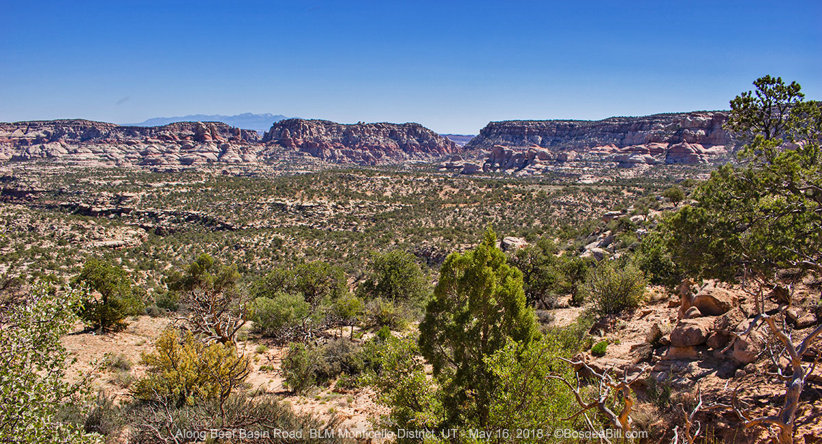Bosque Bill's Backroads: Ruins & Landscapes, UT & CO; Part 1 - May 2018