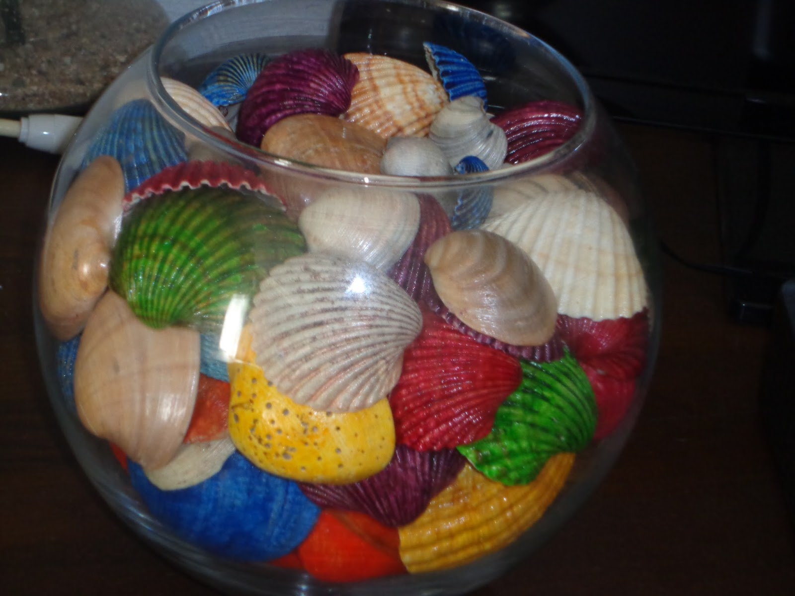 Oasis: Conchas coloridas