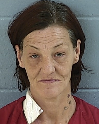 Levy County Sheriff's Star: Drug Task Force Investigation Nets 7 Arrests