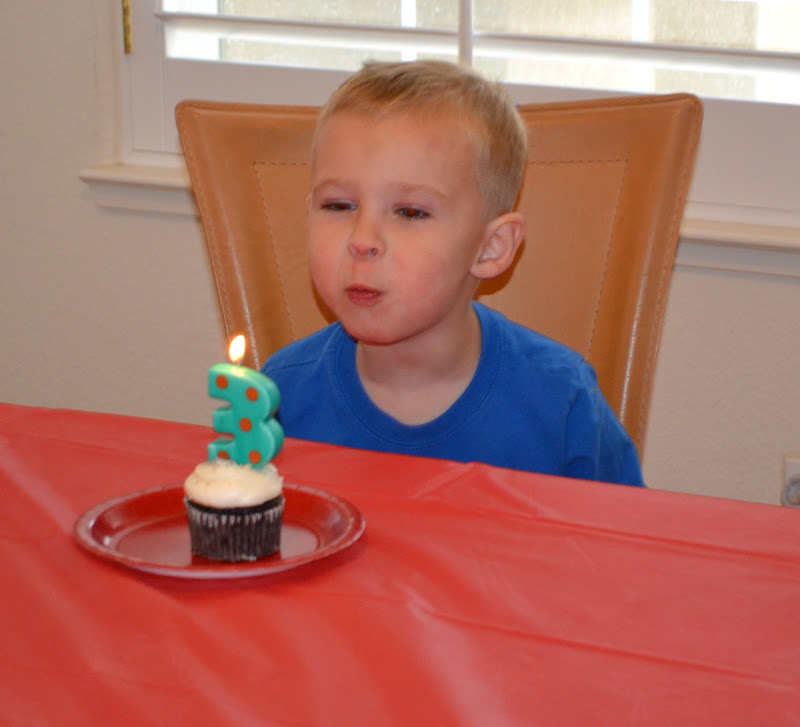 Trevor & Cole: Cole's 3rd Birthday Party