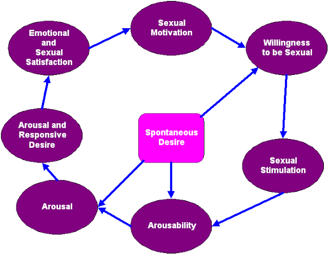 Four sources of sexual stimulation of women - MY SOUND HEALTH