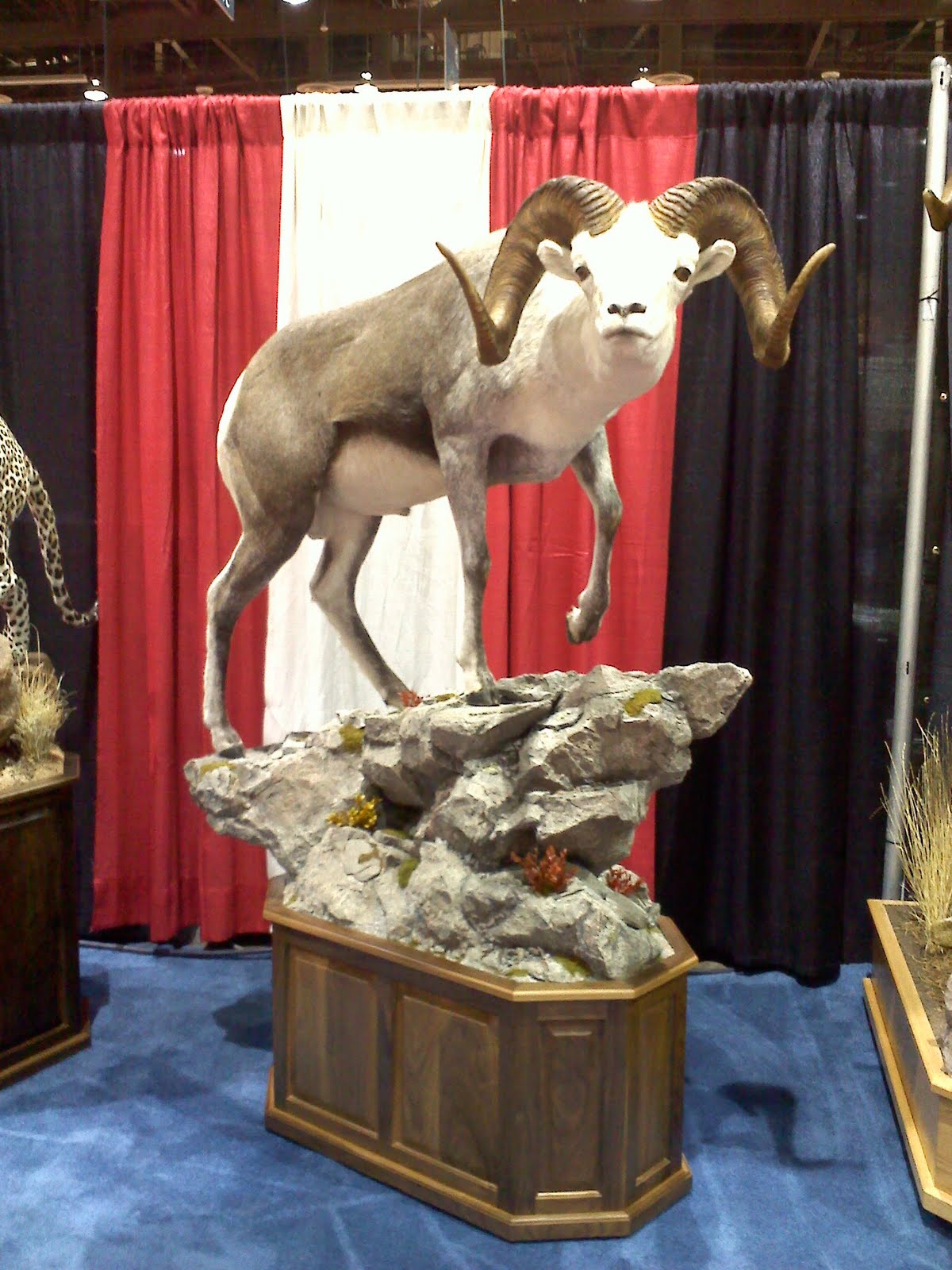 High Desert Outfitters: WSF Convention / stone sheep mount