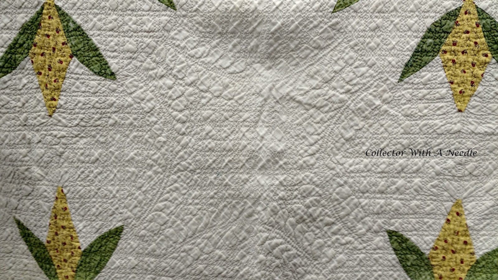 Collector With A Needle: Turkey Tracks or Wandering Foot - Looking at Clues