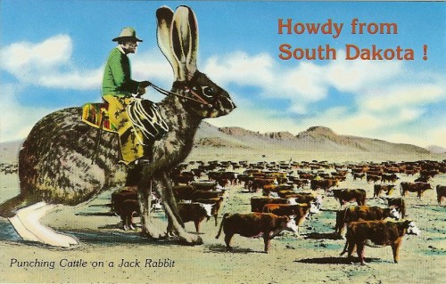 THE JACKALOPE FESTIVAL FROM DOUGLAS, WYOMING!