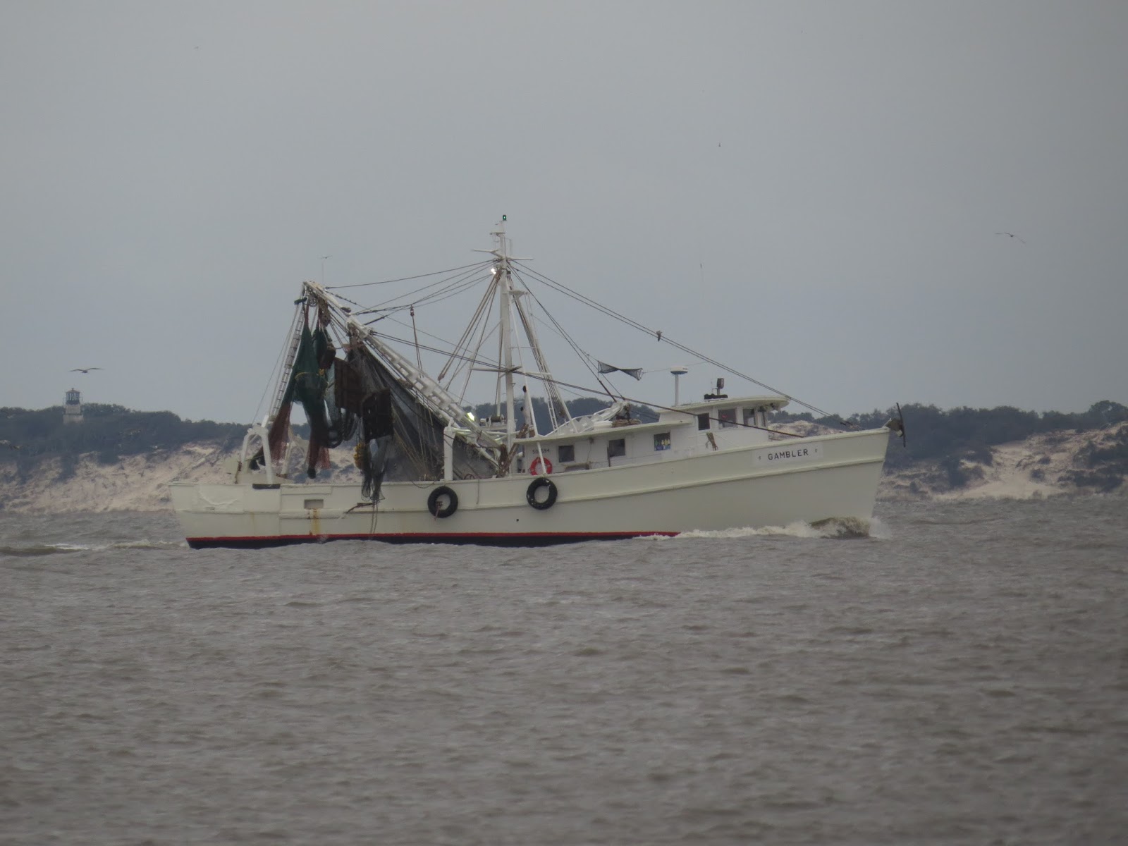 The Beauty that Surrounds Us: Georgia Shrimp Boats...Working Art in Motion