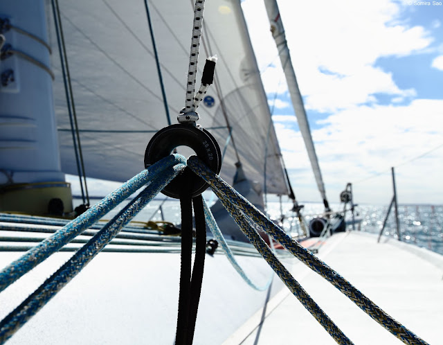 Anasazi Racing: antal floating jib ring