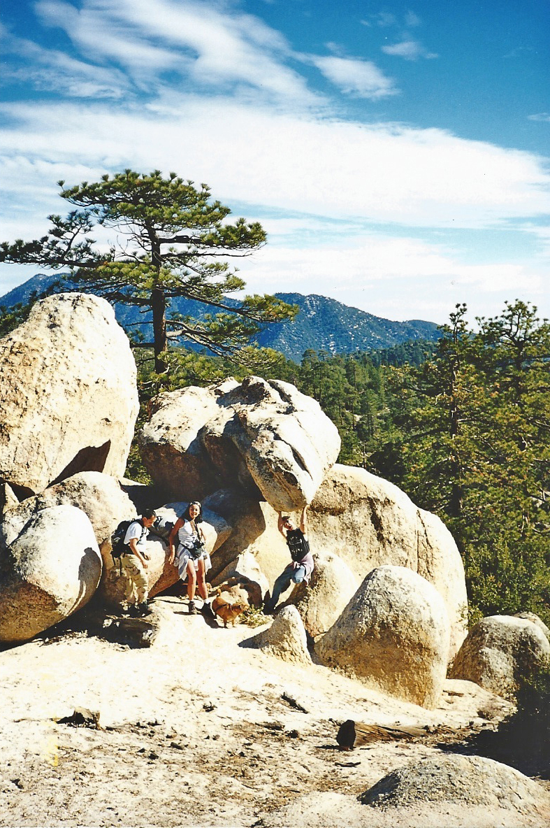 Western Sojourns: Travels with Camissonia: HORSE FLATS/MT. HILLYER ...