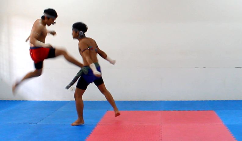 Bokator Training Course: Training Technique of Bokator Martial Arts of ...