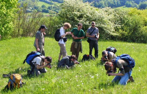 Job Explanations and Career Possibilities for Botanist | ECO TRENDY