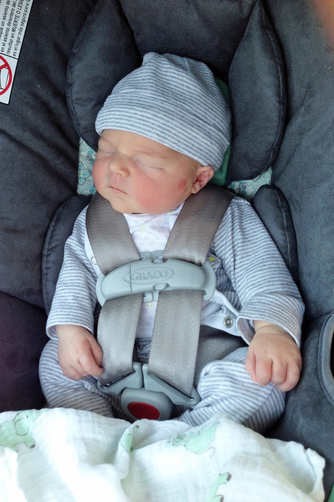 Finding Beauty in Life: Introducing....Adelaide Maureen McLeod