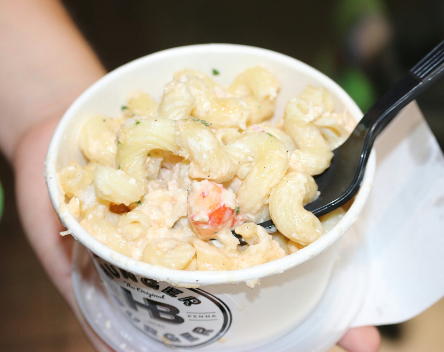 Belly of the Pig: Hunger Burger Philly Review