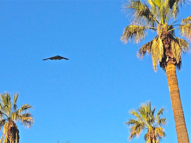Things to Ponder: Dogs Surf the World's Longest & Heaviest Parade Float ...