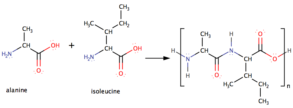 savvy-chemist: Amides