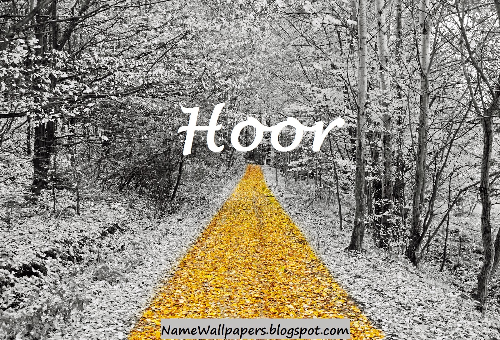 Hoor Name Wallpapers Hoor ~ Name Wallpaper Urdu Name Meaning Name ...