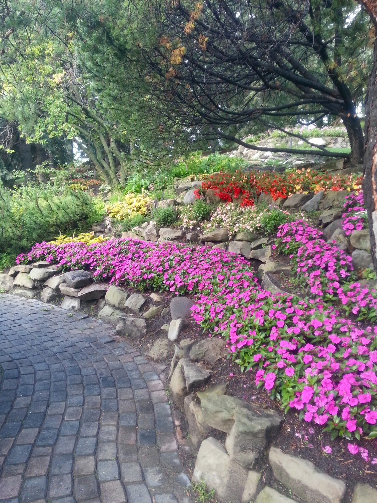 Walking Calgary: Riley Park