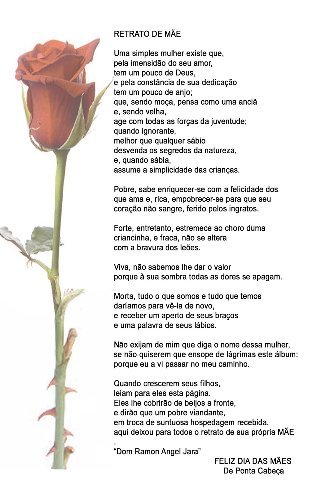 Poema Retrato De Mãe - EDUCA