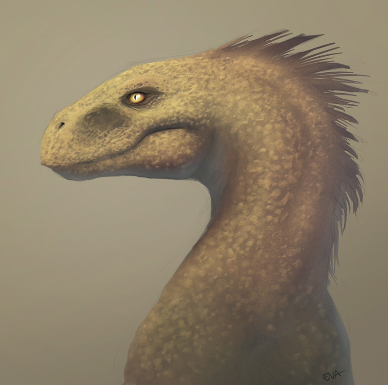 i poke you with stick