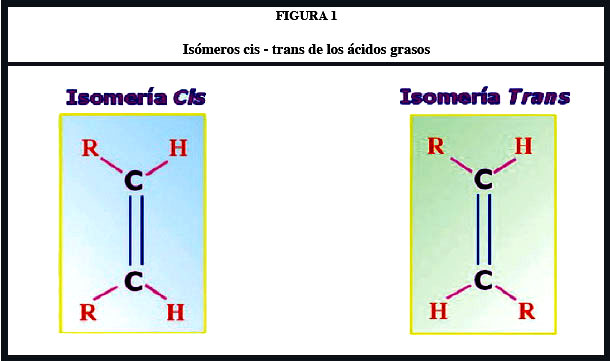 Biología Celular: MOLECULAS BIOLÓGICAS