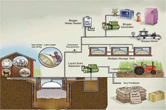 Biomassa Padat dan Biogas