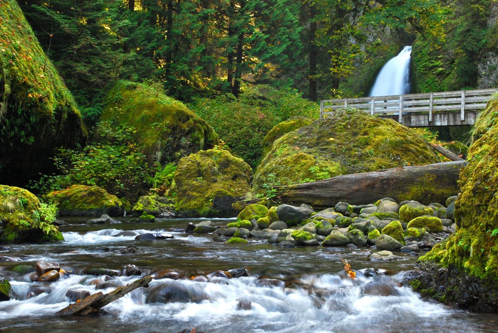 Sam Goldsmith: Wahclella Falls Waterfall Expedition