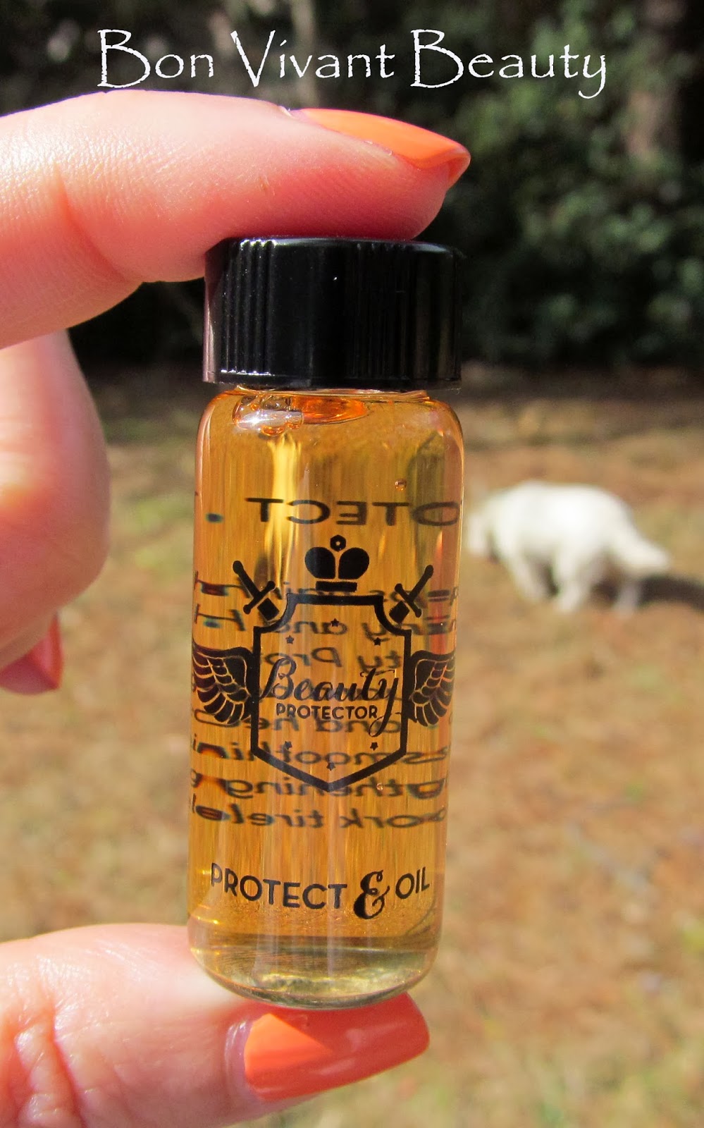 Bon Vivant Beauty: February Birchbox: Step and Repeat