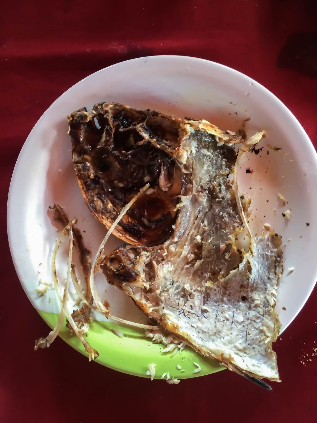 Postcard from Manaus, Brazil - Hot and Chilli