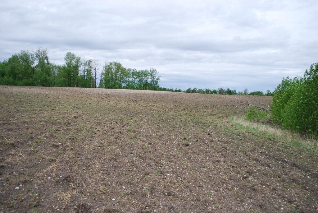 The Science of Dirt: Other soil parent materials found in Saskatchewan