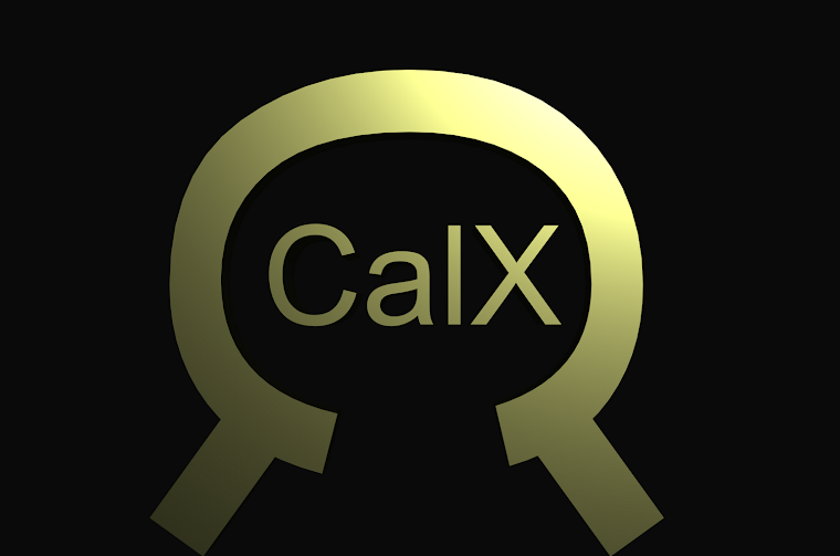 Calx Fundamental: Quarto feminino infantil