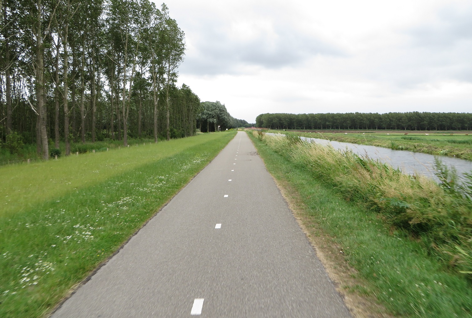 Hackney cyclist: Cycling between cities in the Netherlands - Part ...
