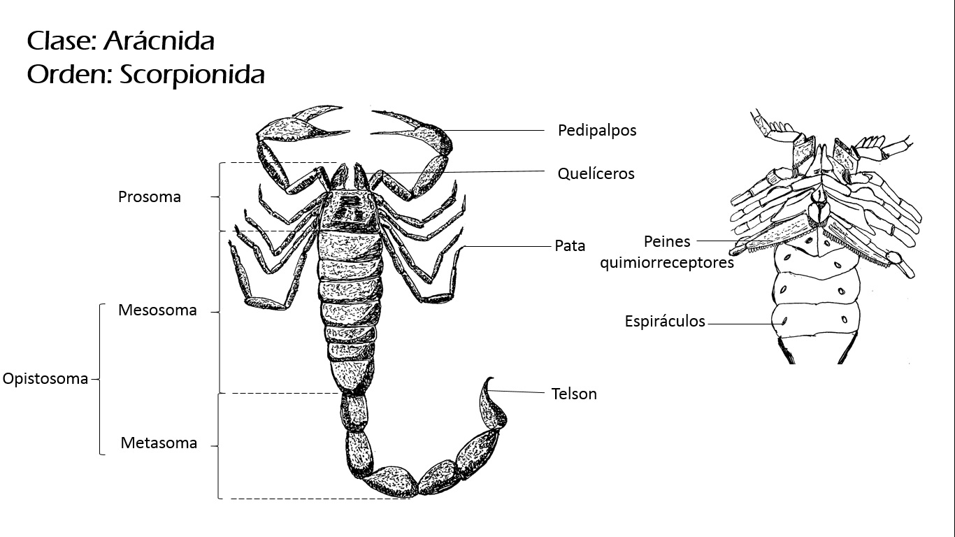 Asignatura de Biologia : 2015