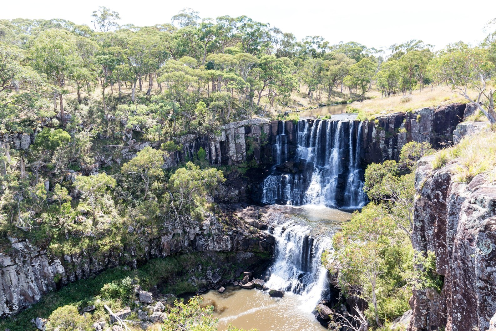 National Park Odyssey: Ebor Falls, Guy Fawkes River National Park, NSW.