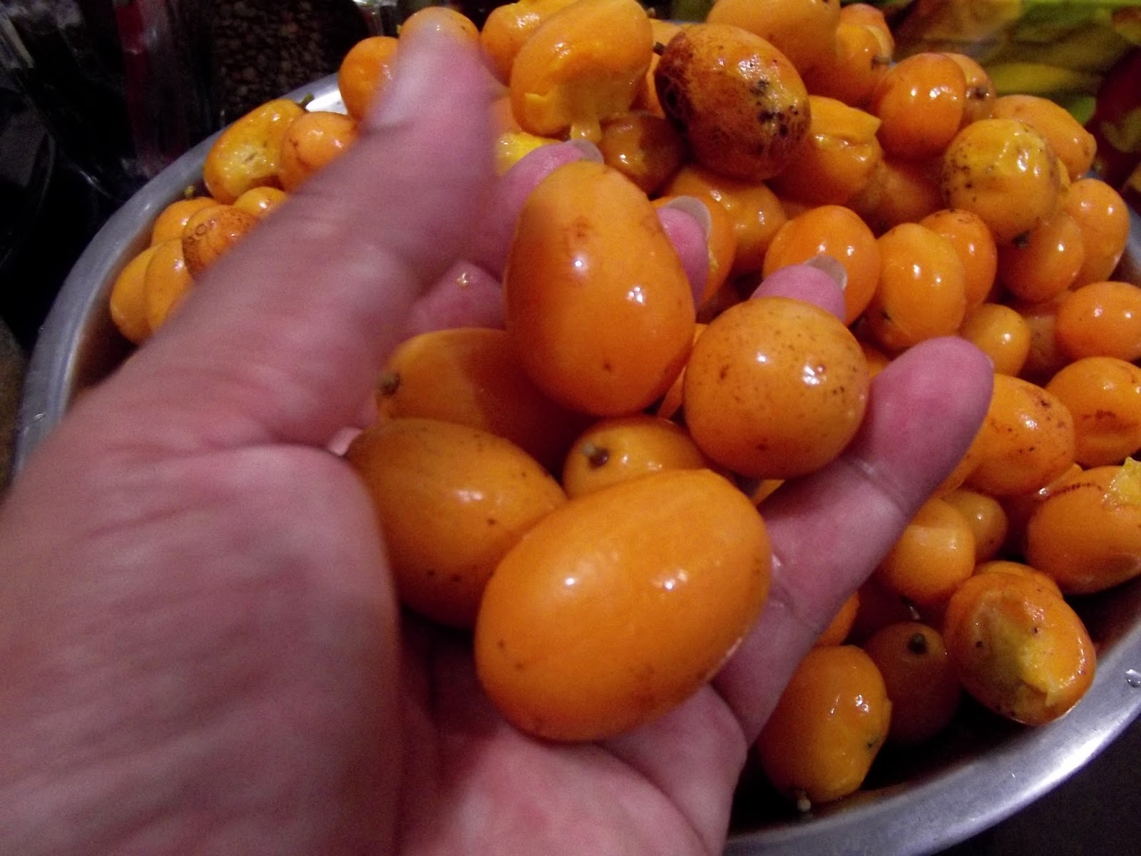 SABOR COM VERSO E PROSA- PURO SABOR DA AMAZÔNIA- DELICIAS DA NECA ...