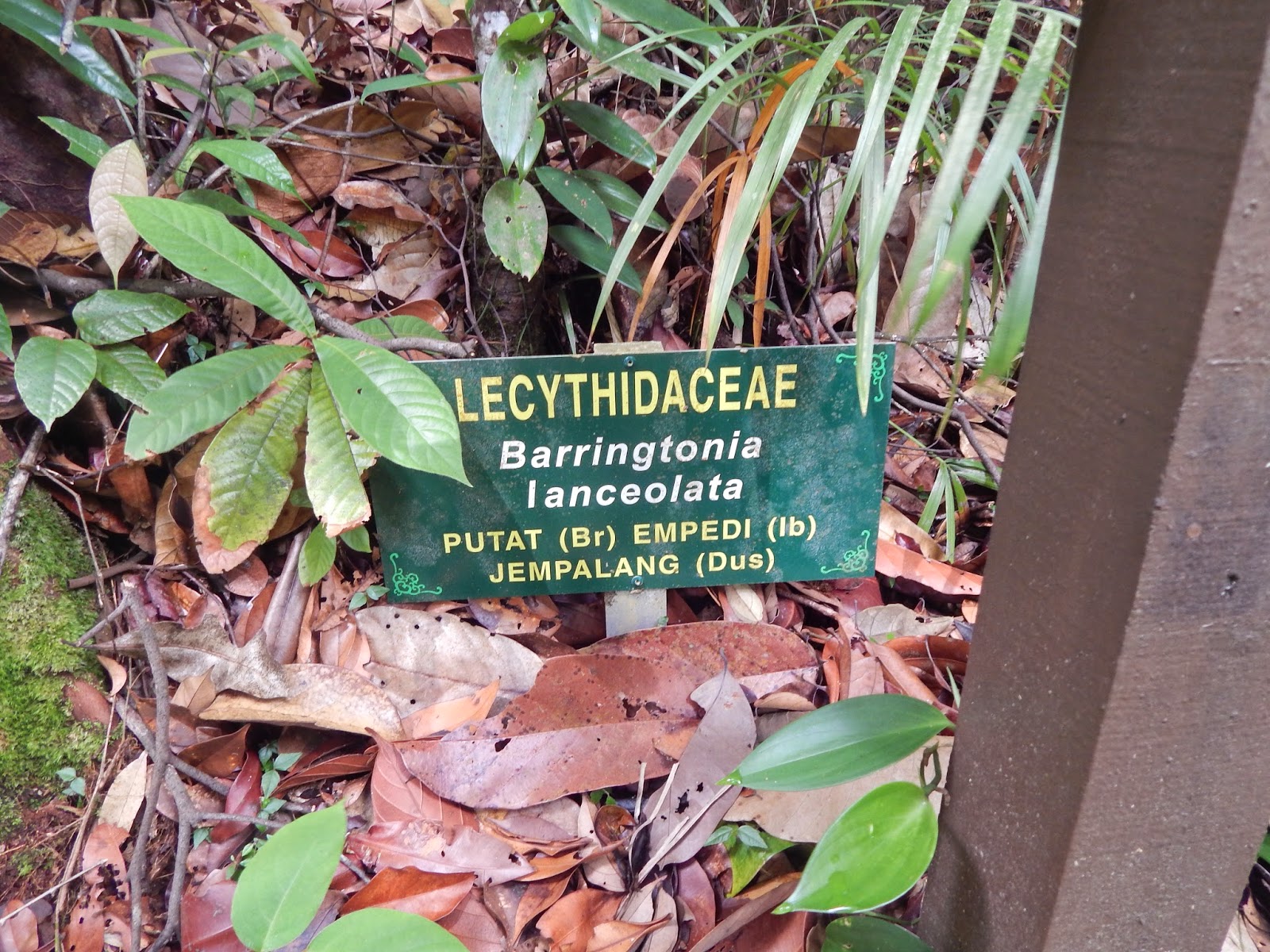 The Amazing place in BRUNEI DARUSSALAM : Taman Sungai Liang Kuala ...