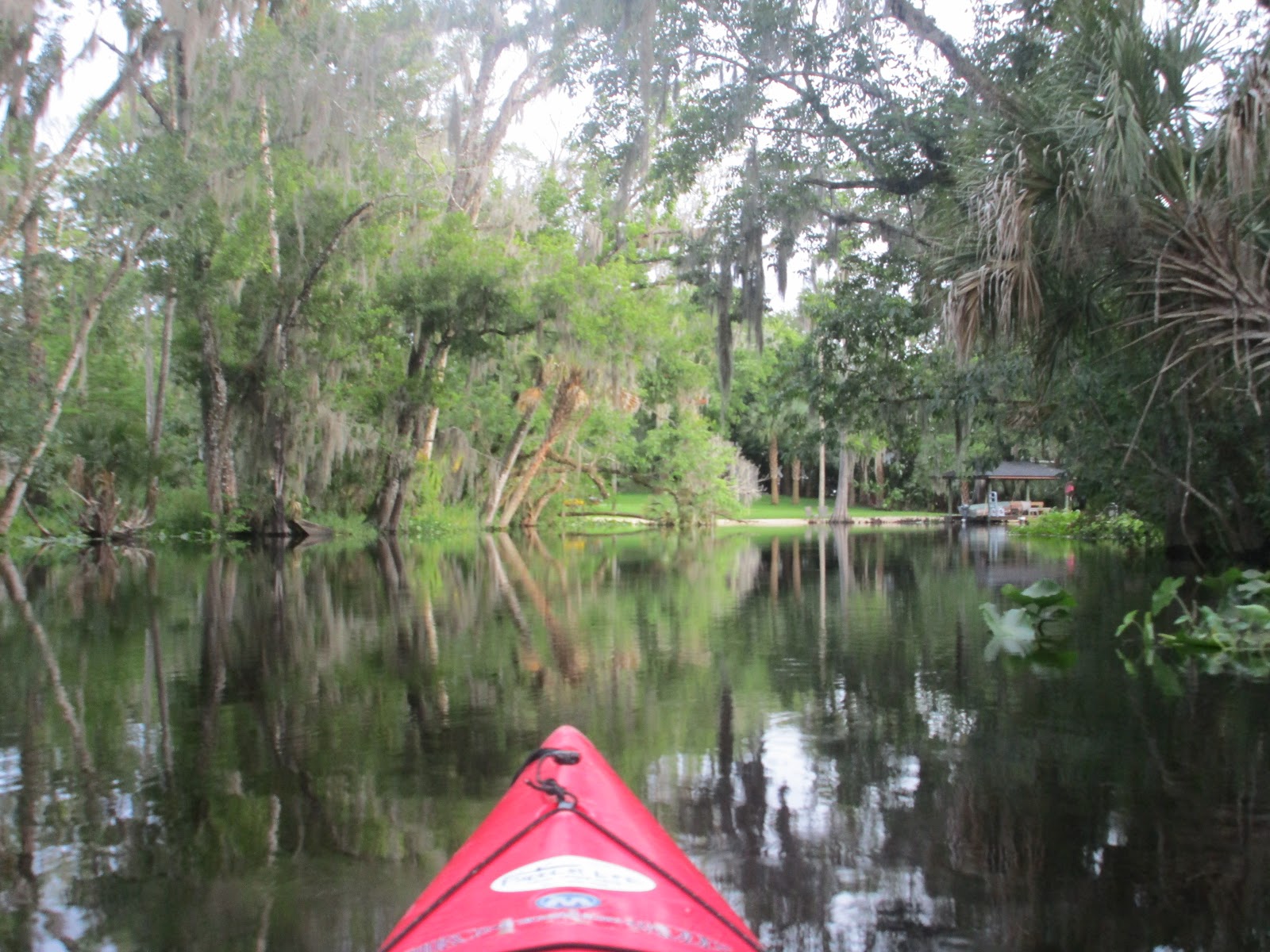 Dave's Yak Tales: Wekiva River