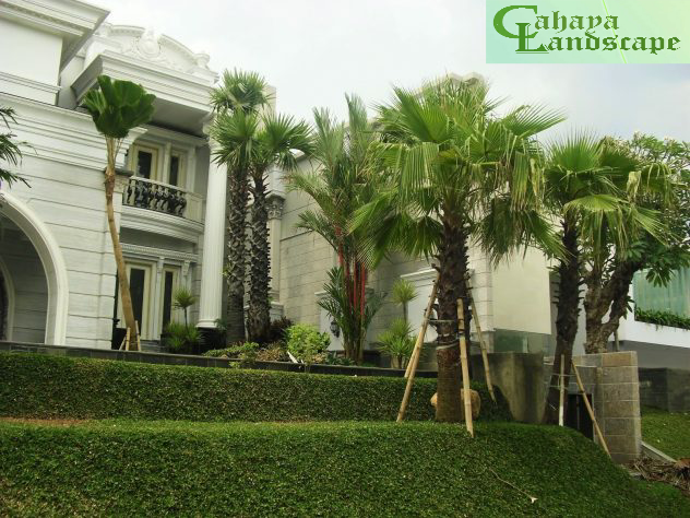 Konsep Taman Klasik | Cahaya Landscape