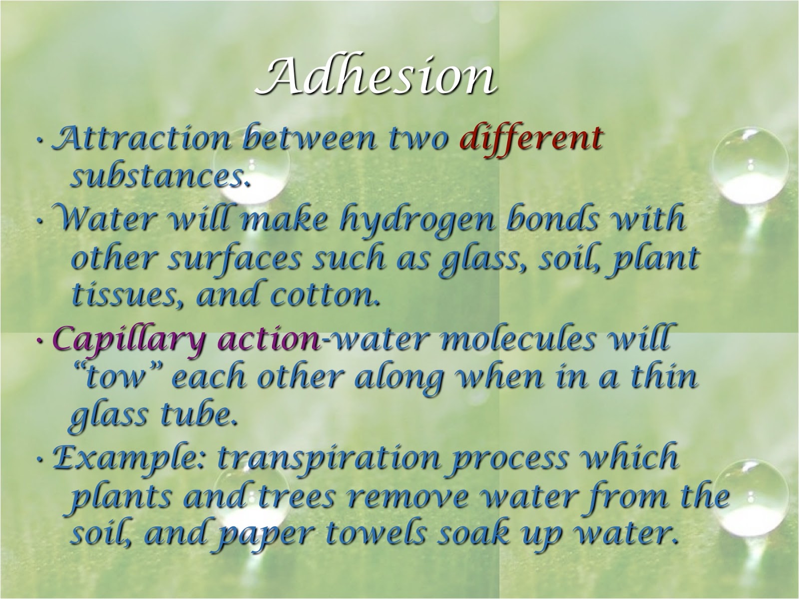 EC Honors Biology: Adhesion and Capillary Action Notes and activities