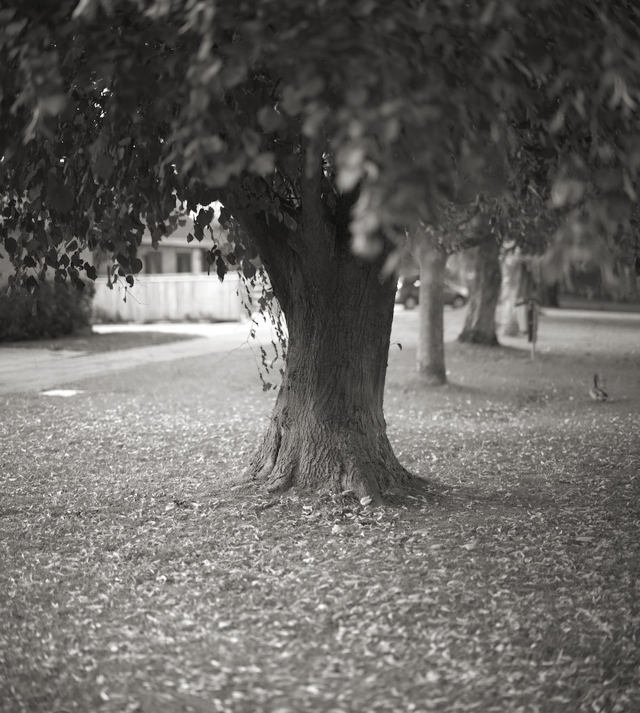 Dan Baker Photography