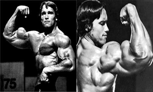 strong&ripped: Arnold-Biceps
