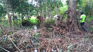 Sao Hill Forest Plantation: ZIFAHAMU SIFA ZA SHAMBA LA NYUKI