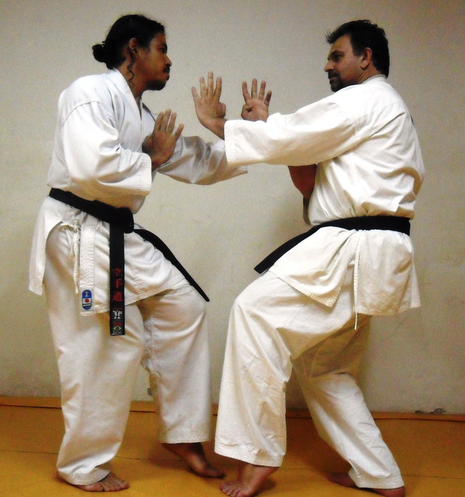 Godoi Budo Goju-Ryu: Apoio da Godoi Budo à Academia Okinawa/AEA da ...