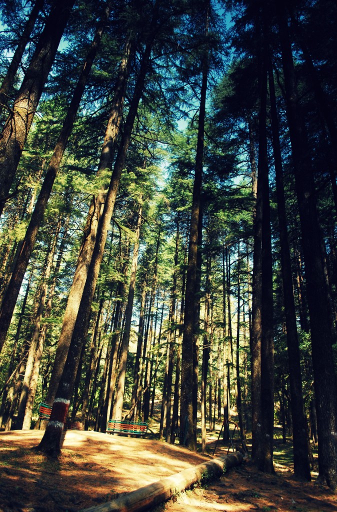 offbeat destination: lansdowne: prem sadan